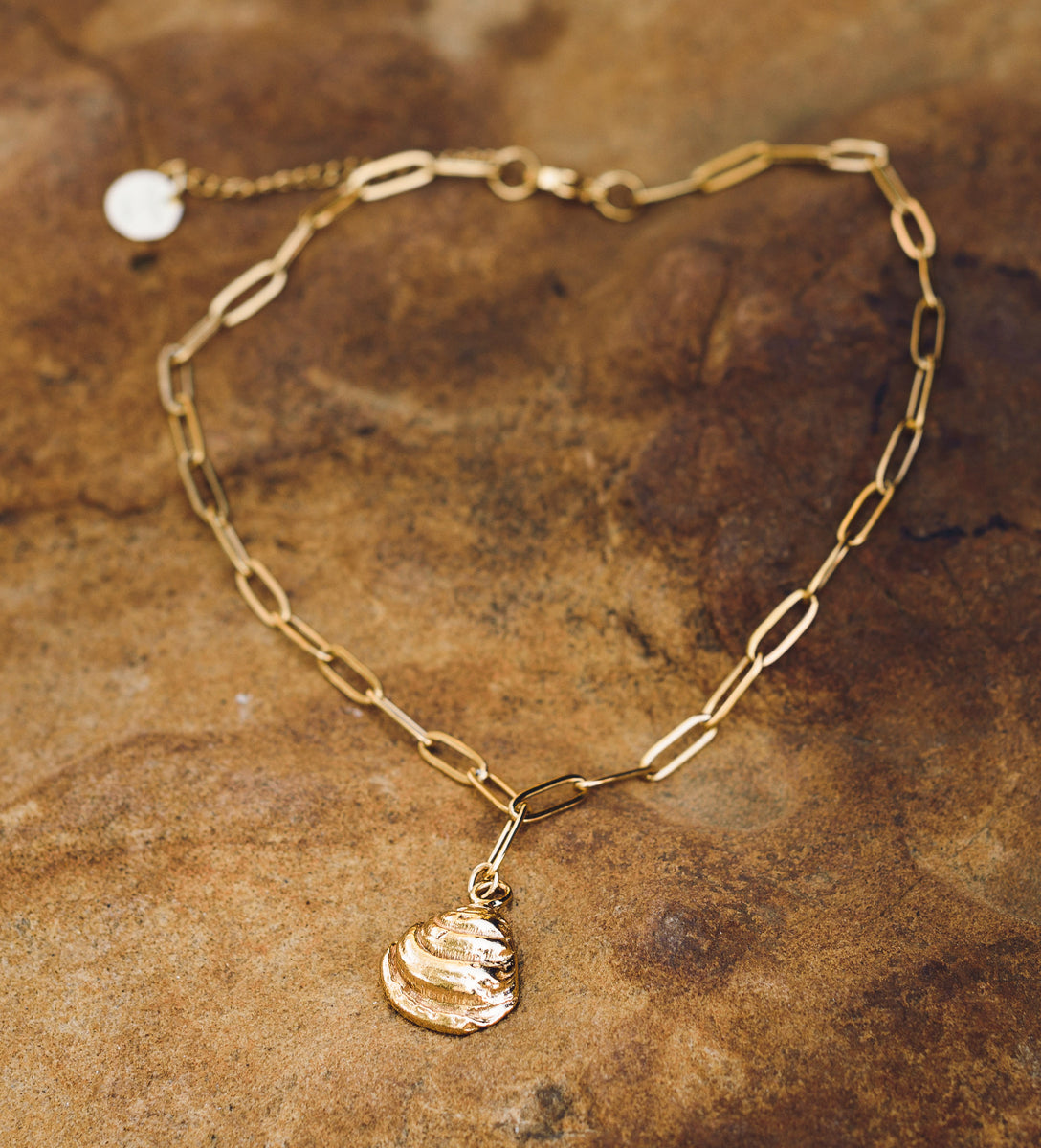 Pawleys Island Shell Necklace – Margerite & Motte
